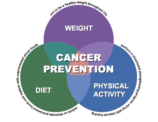 Just Say No To Cancer: Strategies To Cancer-Proof Your Body